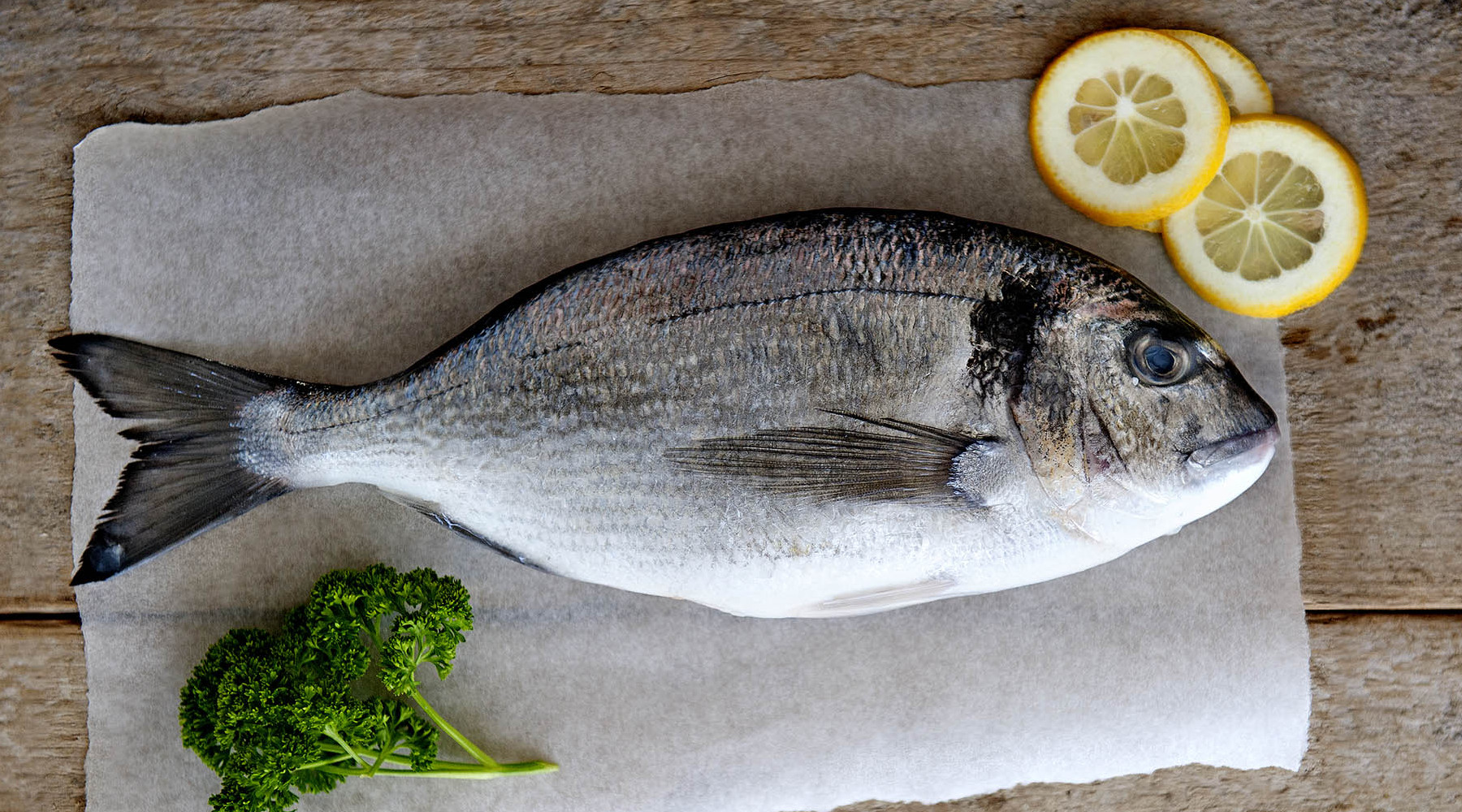 Home Visgilde Amersfoort